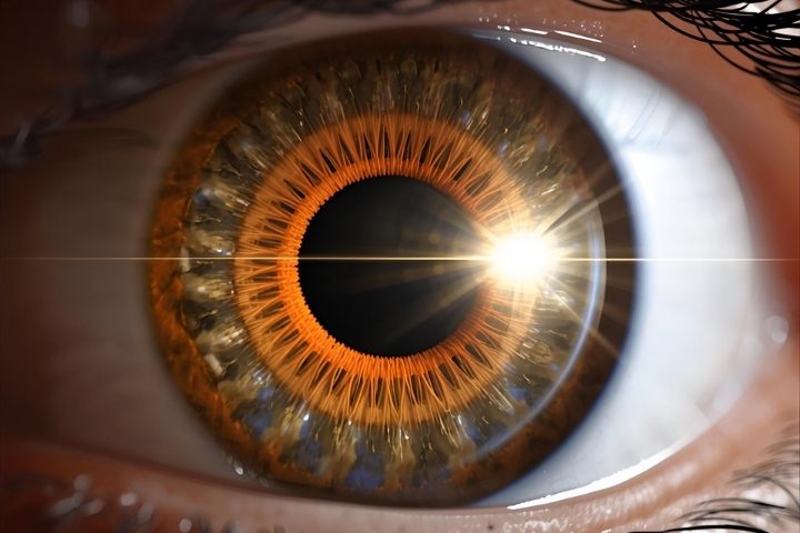 Multifocal Lenses Los Angeles | Dr. David Kamen